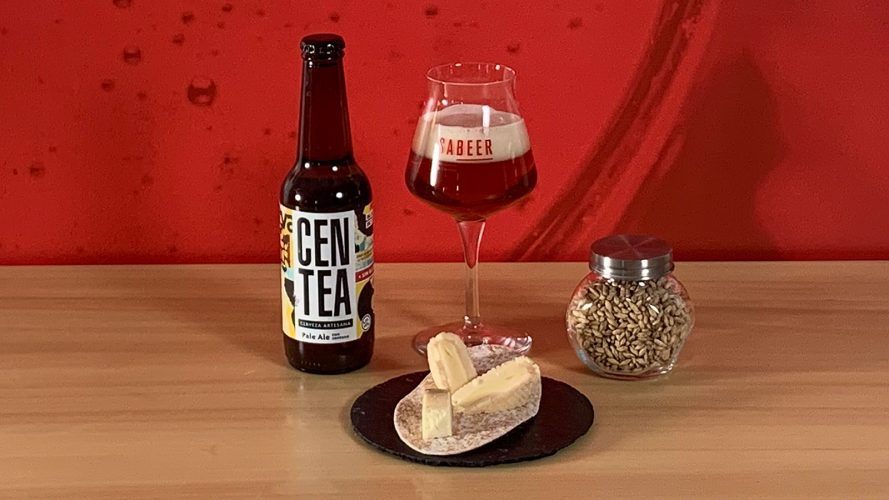 El proceso de malteado en 3 pasos - SABEER, la Academia de la Cerveza