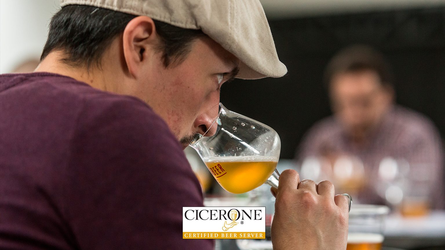 El proceso de malteado en 3 pasos - SABEER, la Academia de la Cerveza